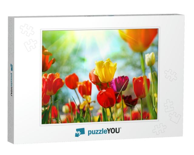 Create Custom Photo Jigsaw Puzzles | Shop Jigsaw Puzzle Collections | Fast Shipping | 2000, 1000 ...